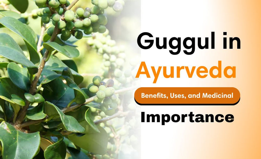Guggul in Ayurveda: Benefits, Uses & Medicinal Importance