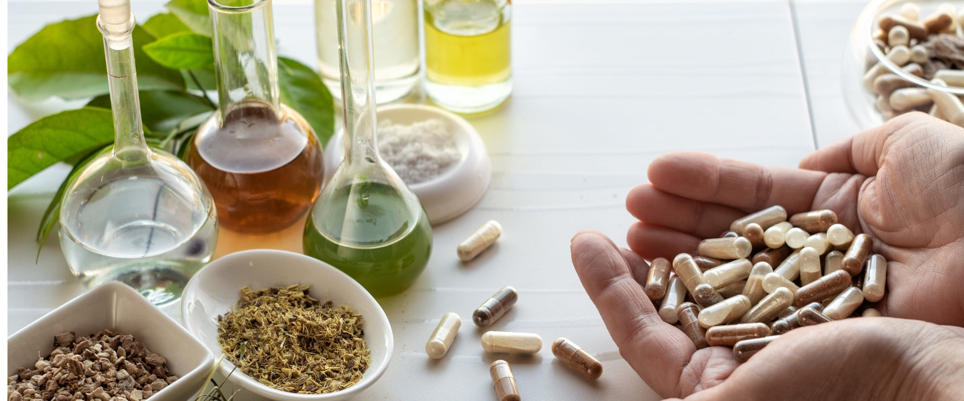 Extract Based Capsule boosting immunity, improving overall well-being