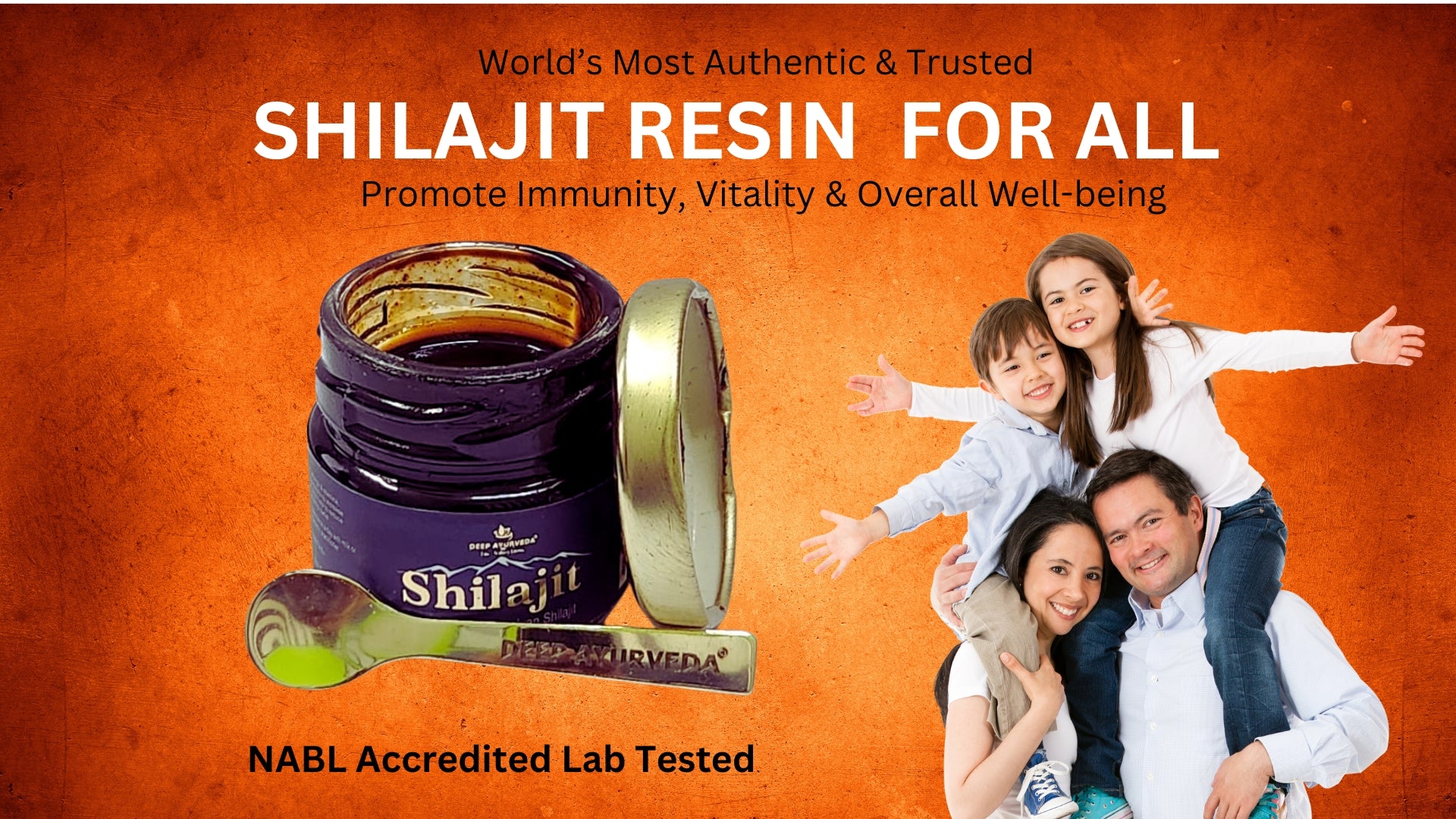Shilajit Resin For All age & Gender by Deep Ayurveda