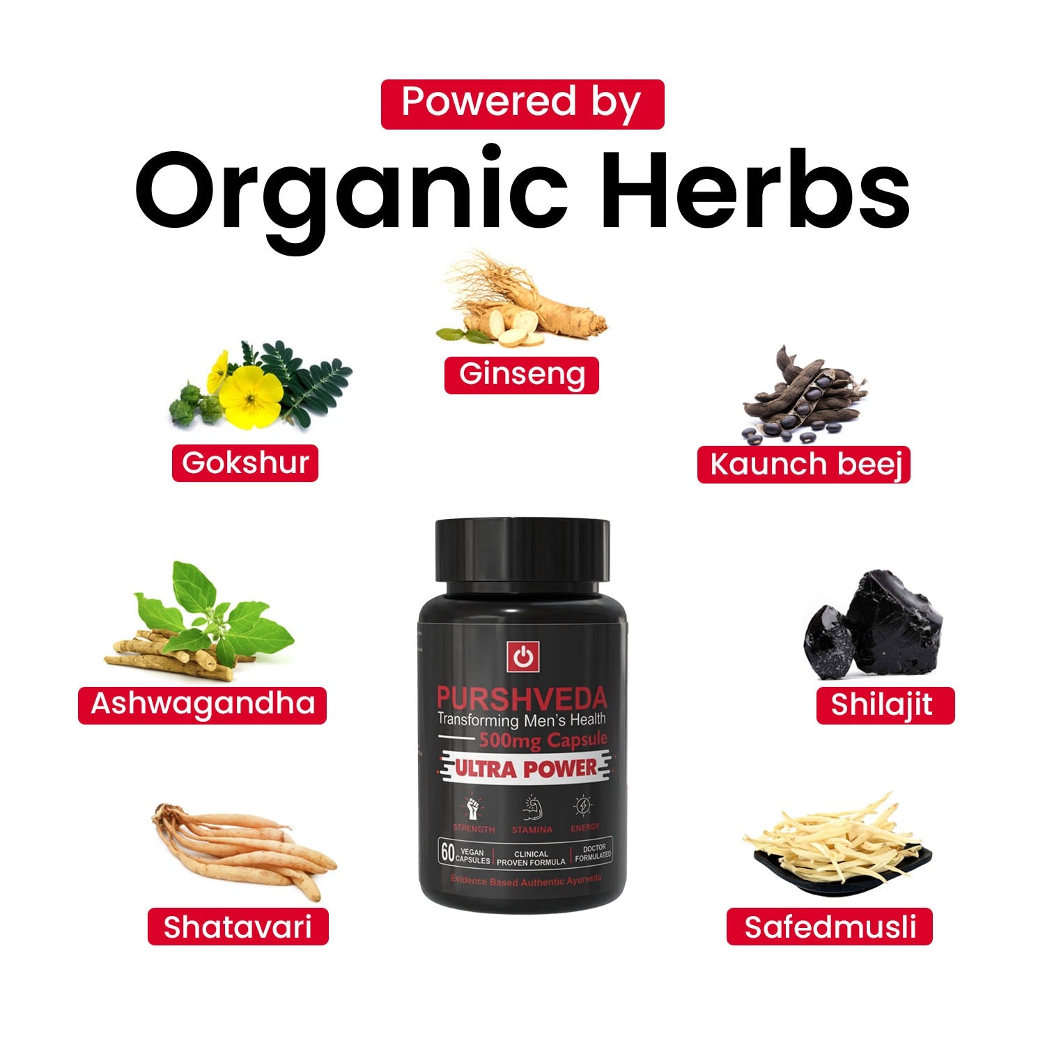 PurshVeda Vegan Capsules for Men | Strength & Vitality Support | 60 ...